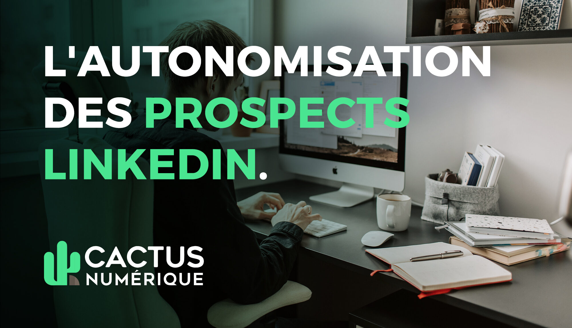 Automatisation du marketing LinkedIn | Cactus numérique